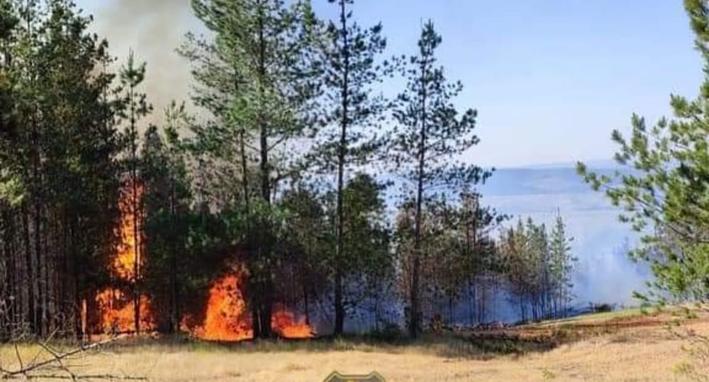 Alerta Por Incendios Forestales En La Región
